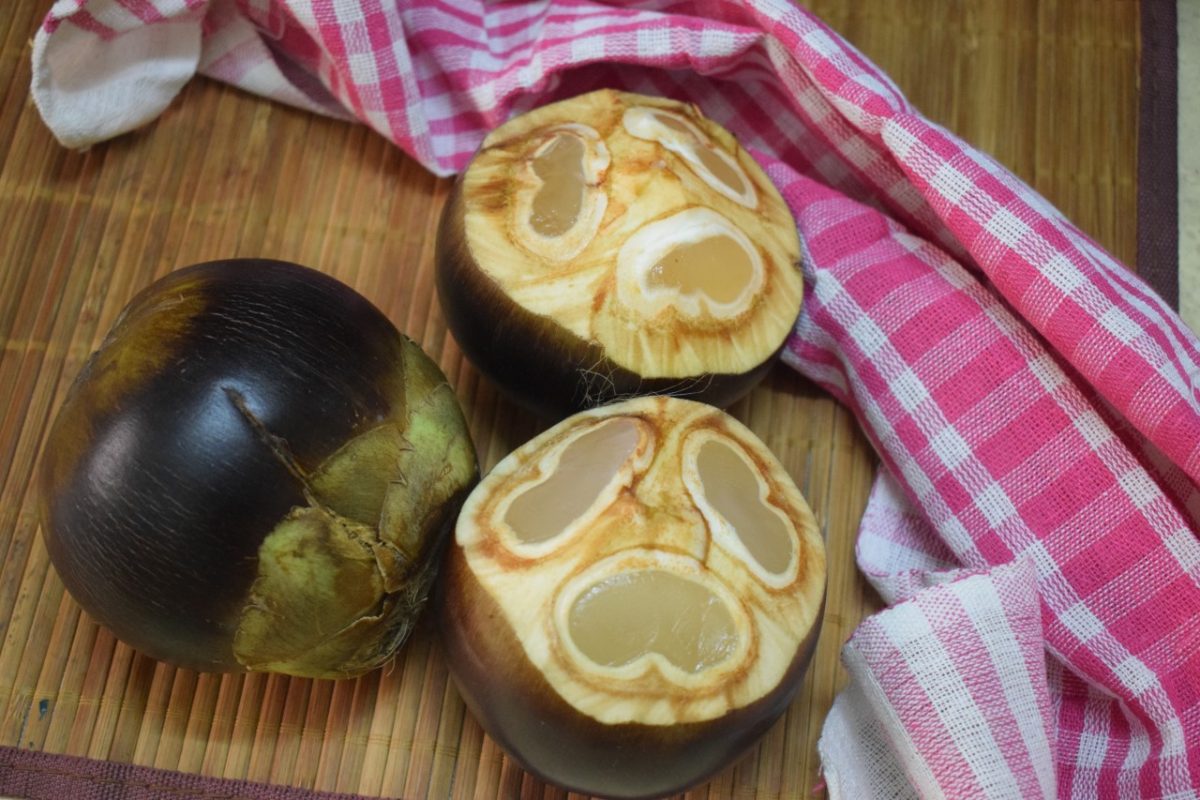 Nungu Nannari Sorbet